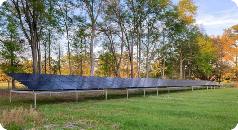 Can You Go Off the Grid in Florida? An In-Depth Guide for 2024