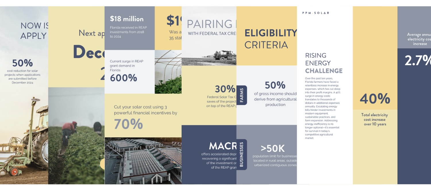 Renewable Energy for Rural Businesses: Guide to REAP Grants